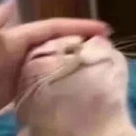 mimituer 