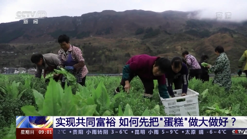 [新闻直播间]中央经济工作会议解读 实现共同富裕 如何先把“蛋糕”做...