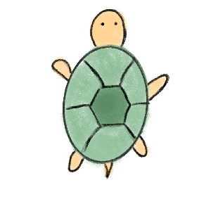 偷香水养兔菲 