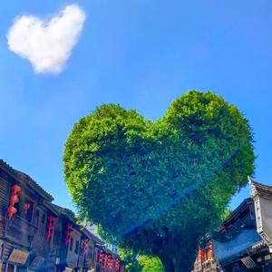 热爱生活的柠檬妈妈 