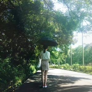 多多情报通分析 