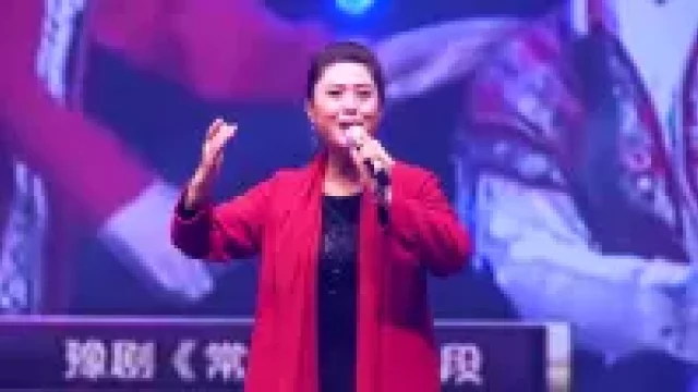 《梨园春》明星演唱会