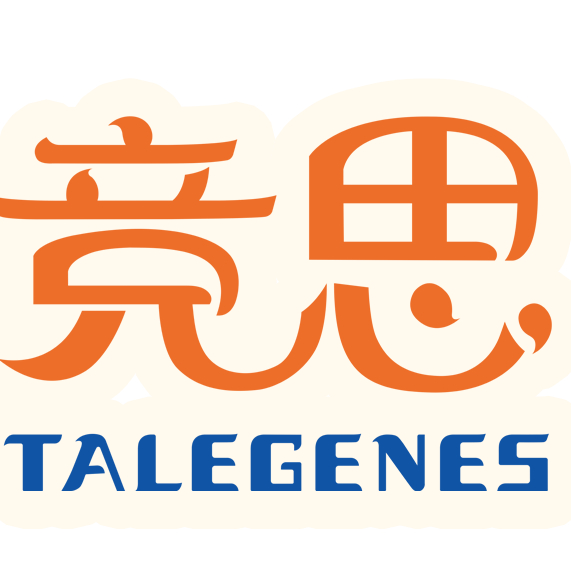 竞思注意力训练 