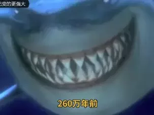 8件关于巨齿鲨的事实