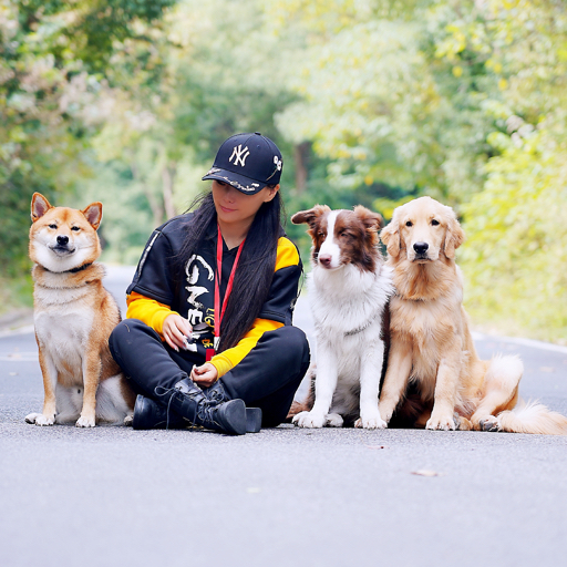 守护者训犬一灵萧 
