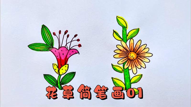 花草简笔画,简单画花草01
