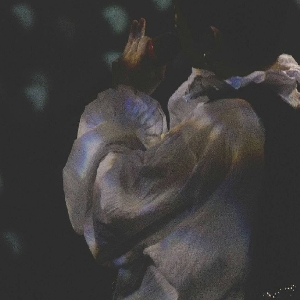 哥斯拉环游小飞猪 