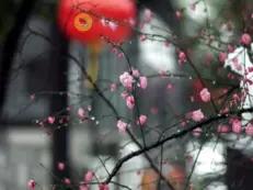 RevoUninstallerPro卸载西瓜播放器动画视频演示