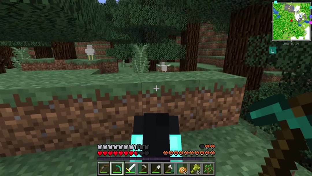 古权我的世界龙骑士 一群宠物狗