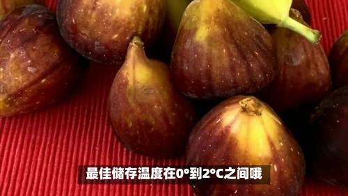 无花果终于可以放冰箱保存了,最佳储存温度在0,到2,C之间哦