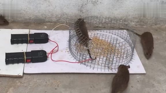 牛人自制十大电击捕鼠神器,老农看了直呼:管用,解气