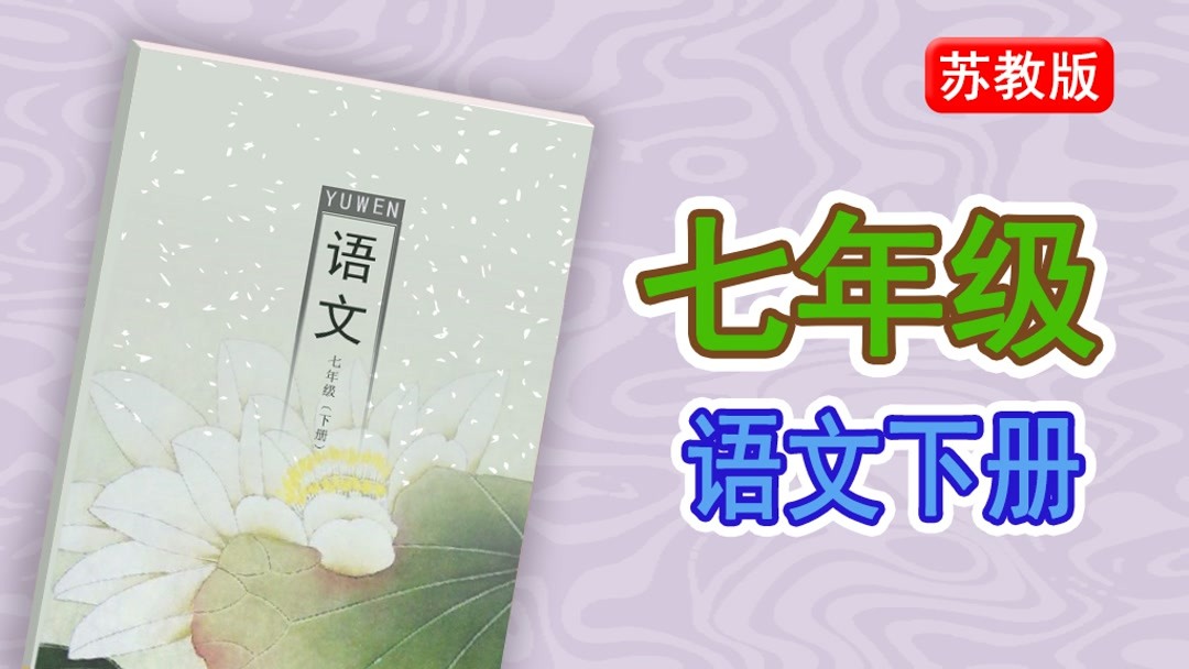 我们家的男子汉.