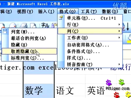 隐藏行、列、表 PCtiger教excel2003
