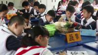 小学美术--《拟人化的动漫形象》