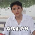 森林视野 