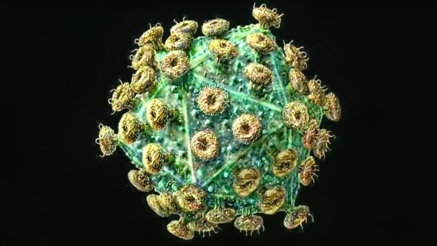 HIV:比病毒更可怕的是人心(一)