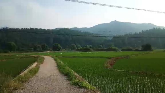 让我们荡起双桨#治愈系风景