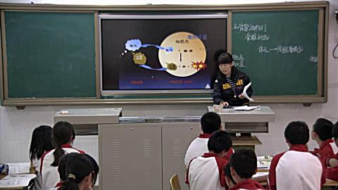 北京版初中生物八年级下册《鱼类和两栖动物》获奖课教学视频