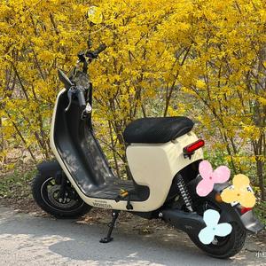 新大洲s07电动车 