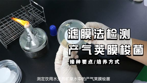 滤膜法检验产气荚膜梭菌