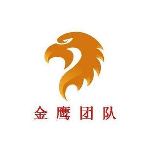 金鹰团队分析师-阳子 