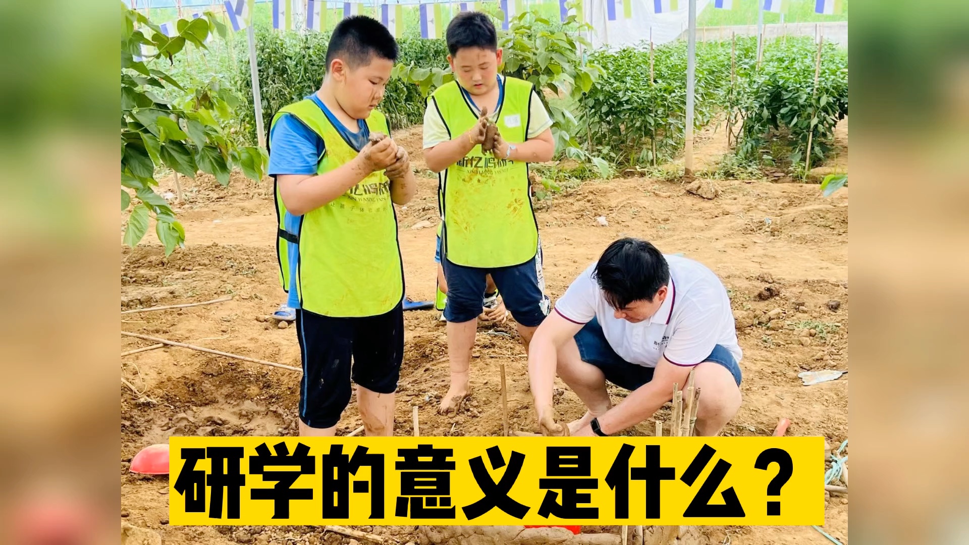 研学的意义是什么