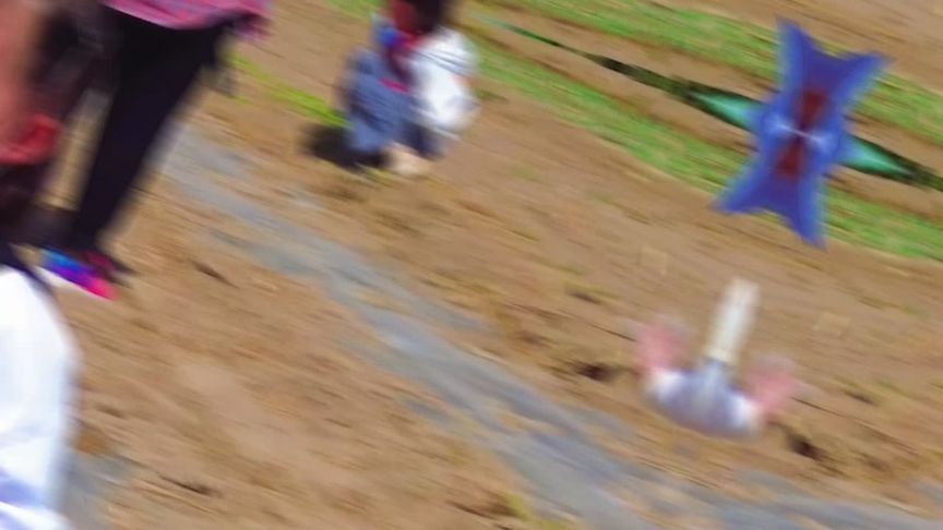 向日葵ߌ�逐光计划!#户外活动 #孩子们棒棒哒 #研学旅行