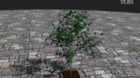 用grow fx做的植物生长动画