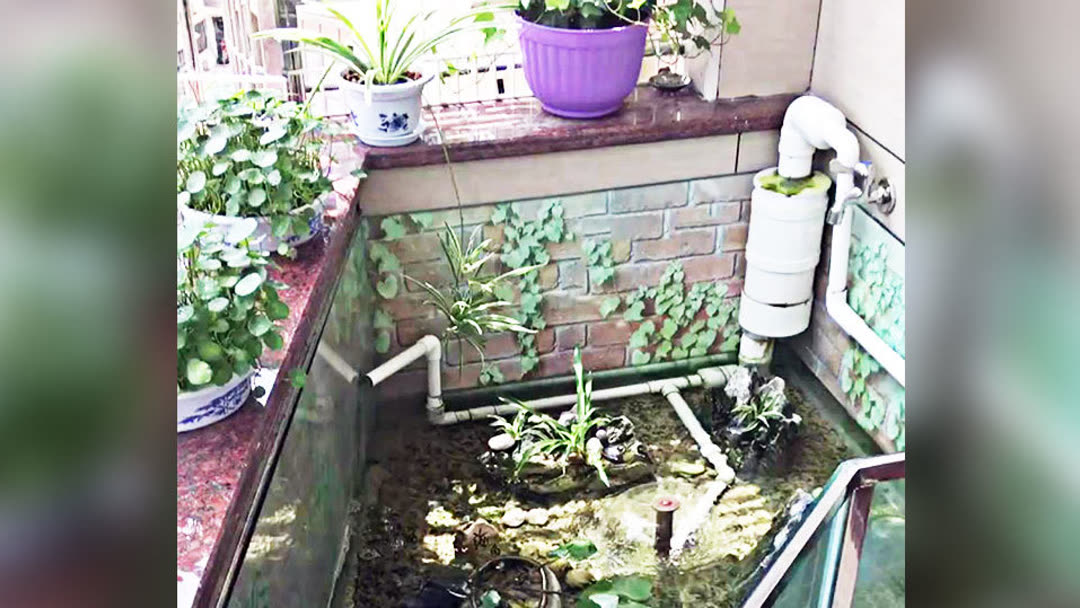 DIY教你自制鱼池水循环过滤系统,阳台鱼池这样设计,真好!