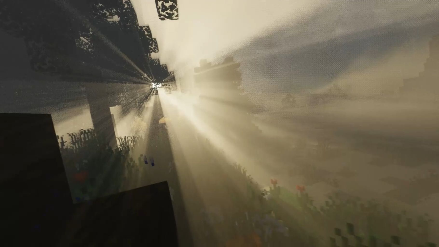 这才是我的世界最真实的样子