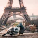 喜欢吃零食の左丘俊雅 