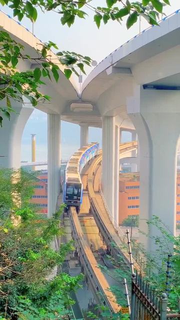 不管你们地铁、单轨、还是双轨,反正在重庆我统一叫“轻轨”,不接受...