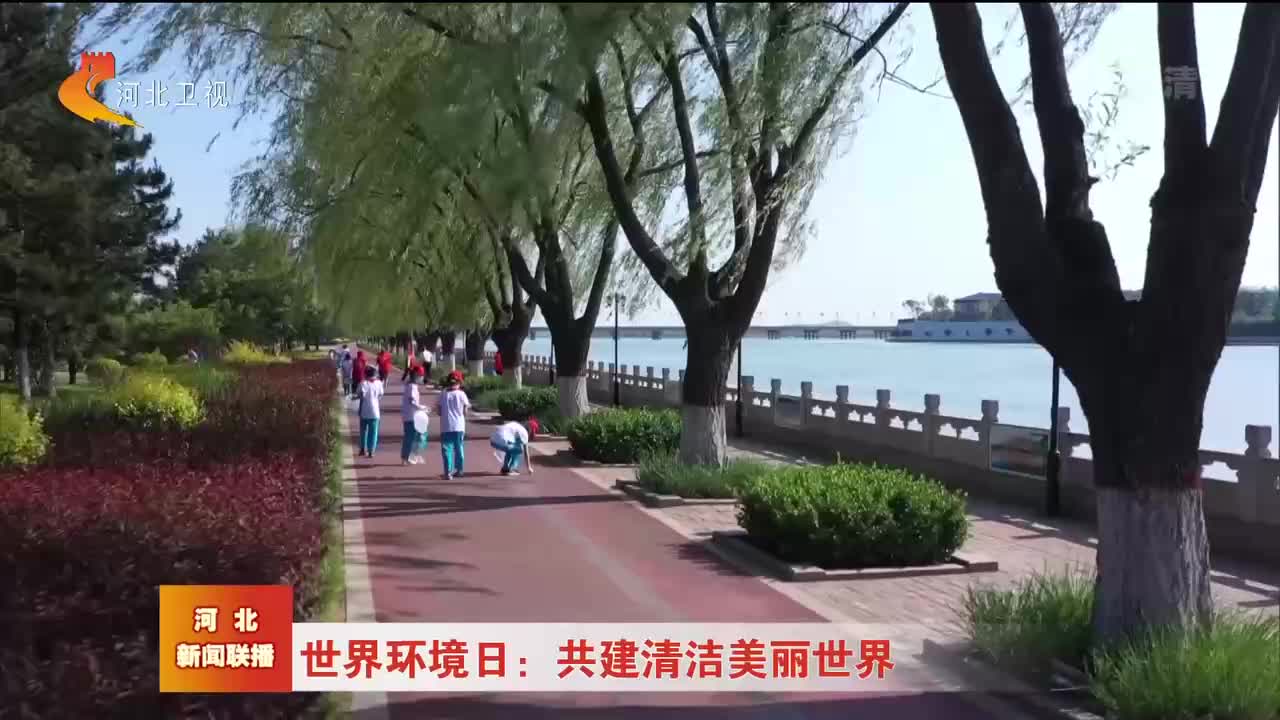 世界环境日:共建清洁美丽世界