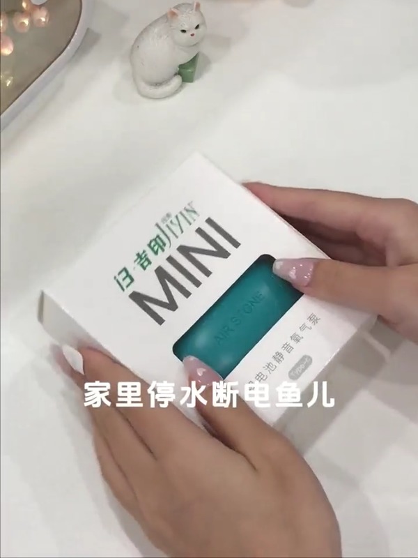 充电插电两用交直流便携增氧泵