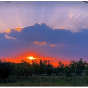 前程似锦一帆风顺1005 