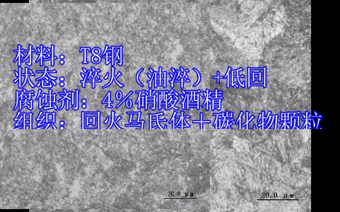 典型铁碳合金的常温显微组织