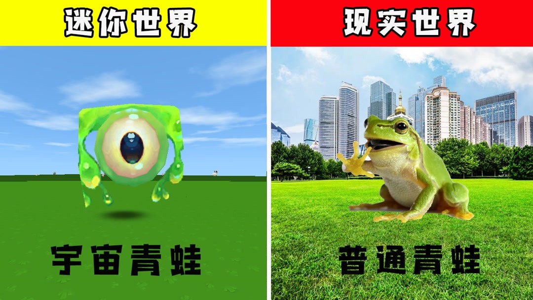 迷你世界:游戏VS现实,游戏的青蛙和现实的青蛙,区别居然这么大