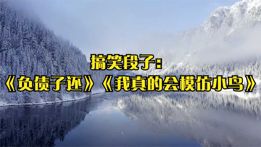 搞笑段子:《负债子还》《我真的会模仿小鸟》