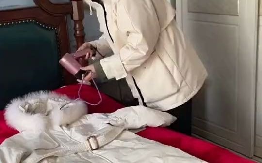 羽绒服晾干后成坨了,可以这样试试。