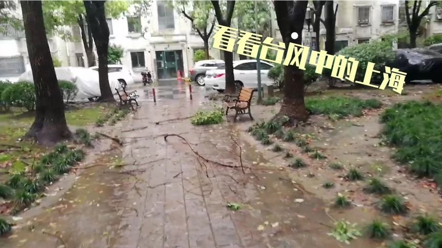 在上海,看台风:一起看看台风中的上海