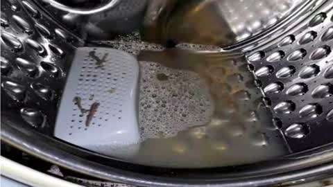 用了10年洗衣机才发现,洗涤盒的正确用法,怪不得衣服总洗不干净