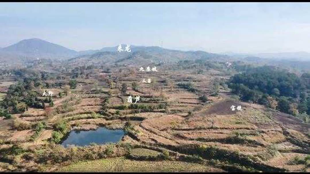 留题风水宝地,金线吊葫芦,王君植是这样在湖北孝感寻找风水大地