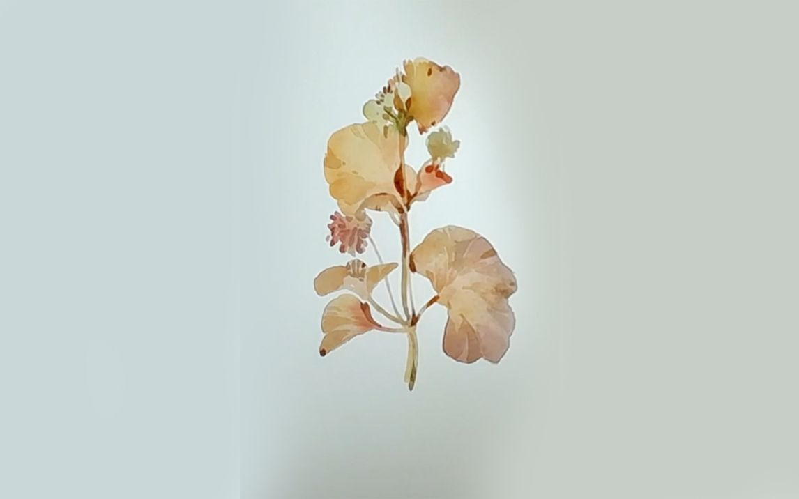 到底什么原因,画的这么简单却这么好看?