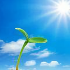 临江市博达志愿者 