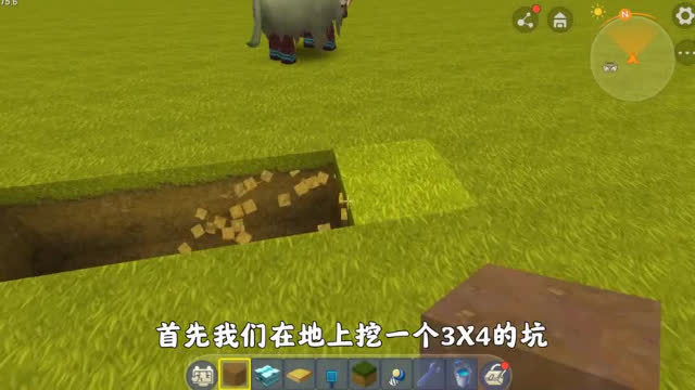 纯透明的玻璃鱼缸,养个鲨鱼都绰绰有余!
