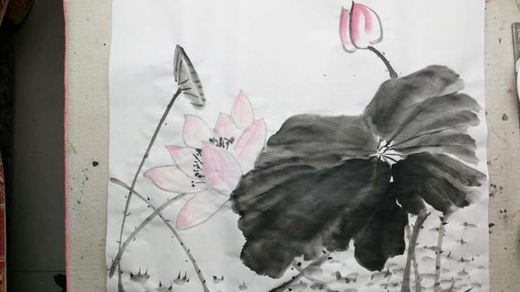 国画荷花,一般用湿墨画荷叶,淡墨画荷花,对比一下你画错了没