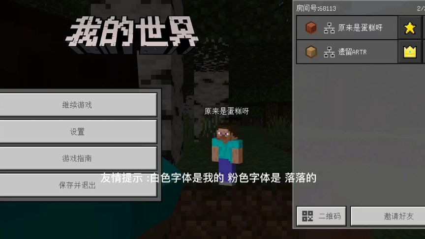 我的世界双人联机(1)