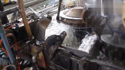 蚕茧是怎么变成蚕丝的?走进工厂一探究竟