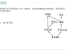 动物的运动和行为拓展三.mp4