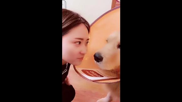 狗:我要是被这货咬一口,会不会得狂人